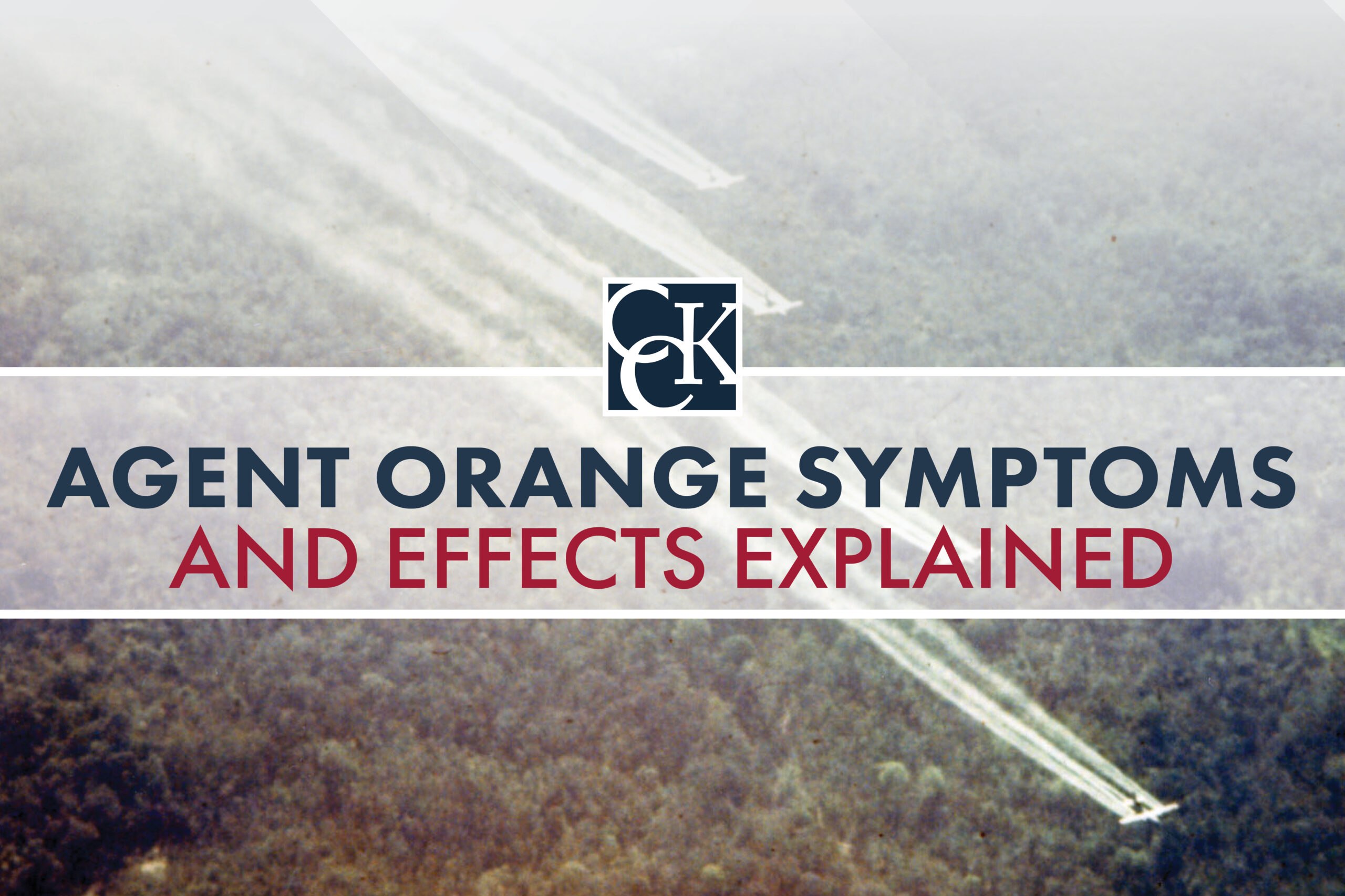 Agent Orange Symptoms and Effects Explained | CCK Law