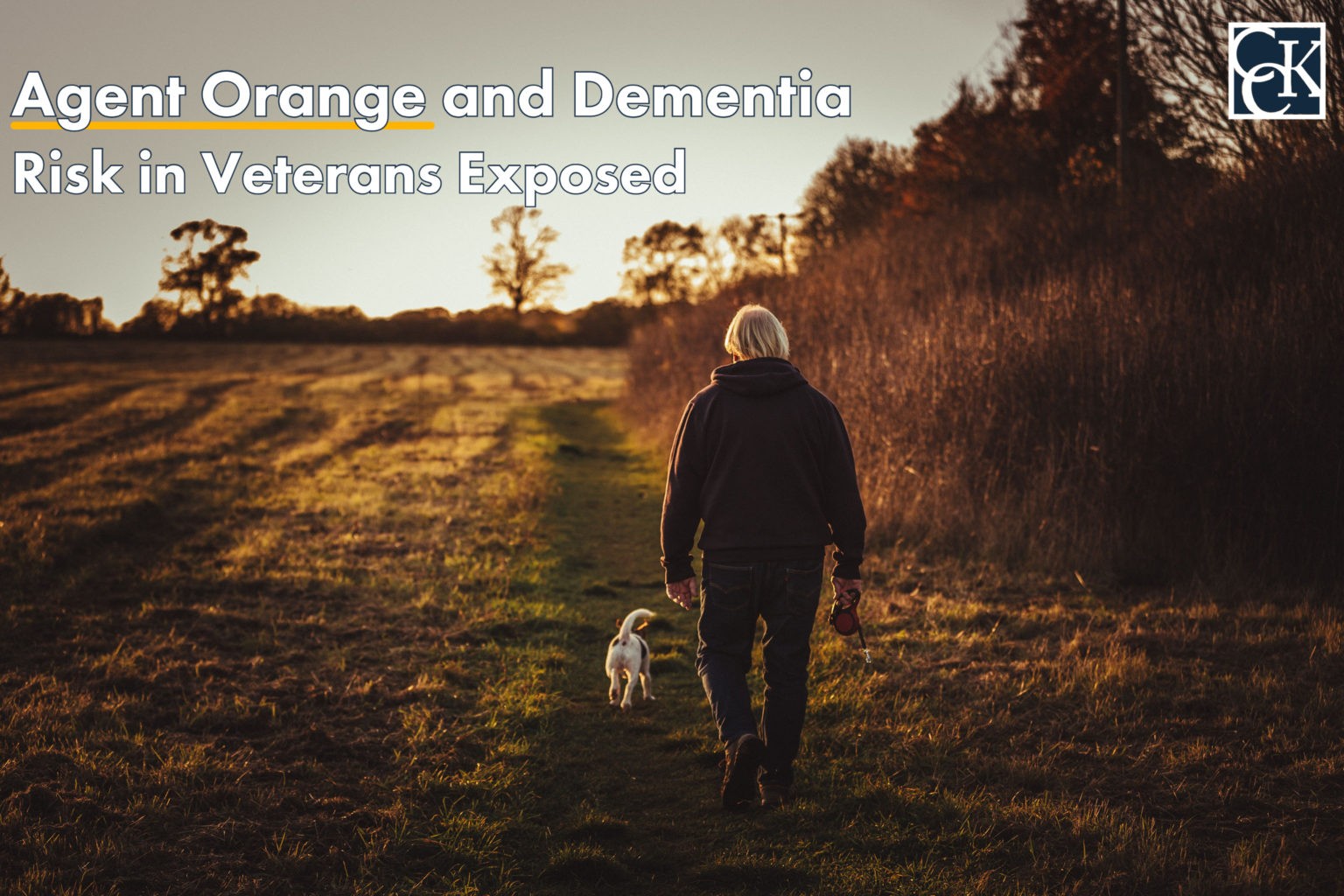 Agent Orange and Dementia Risk in Veterans Exposed | CCK Law