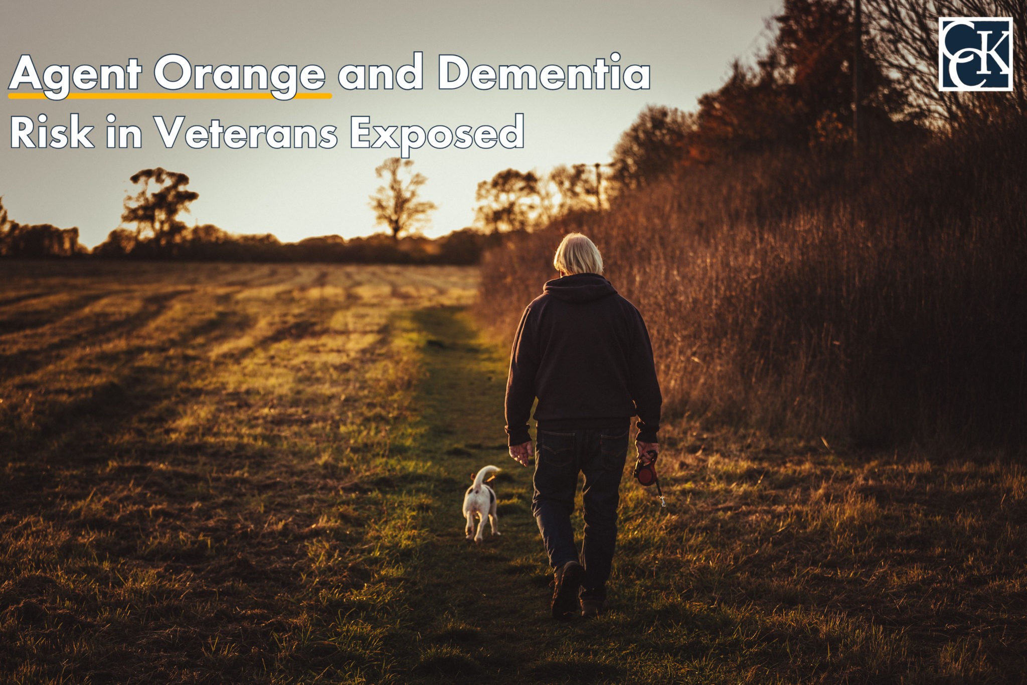 Agent Orange and Dementia Risk in Veterans Exposed | CCK Law